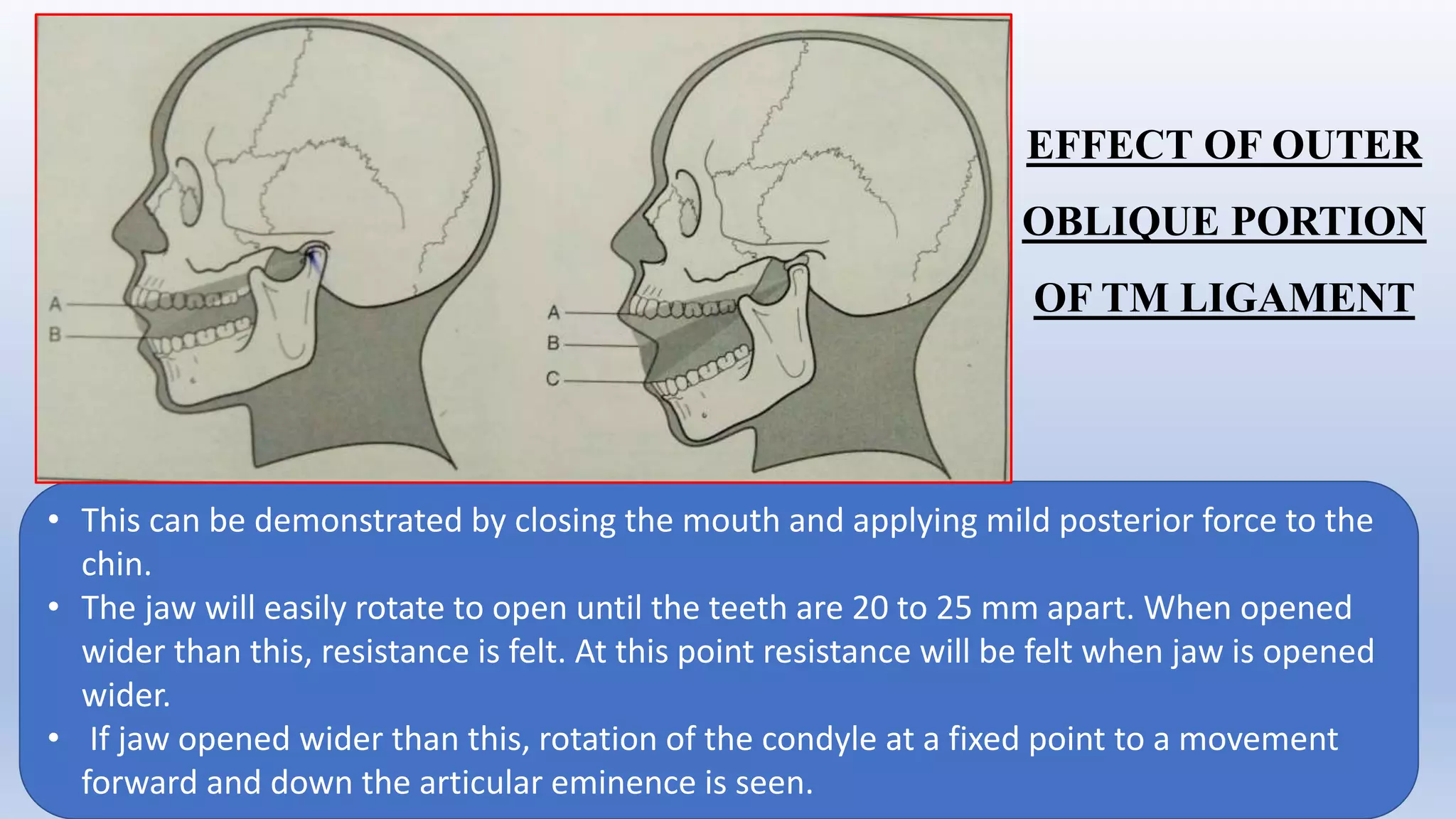 Temporomandibular Joint (Anatomy) | PPTX