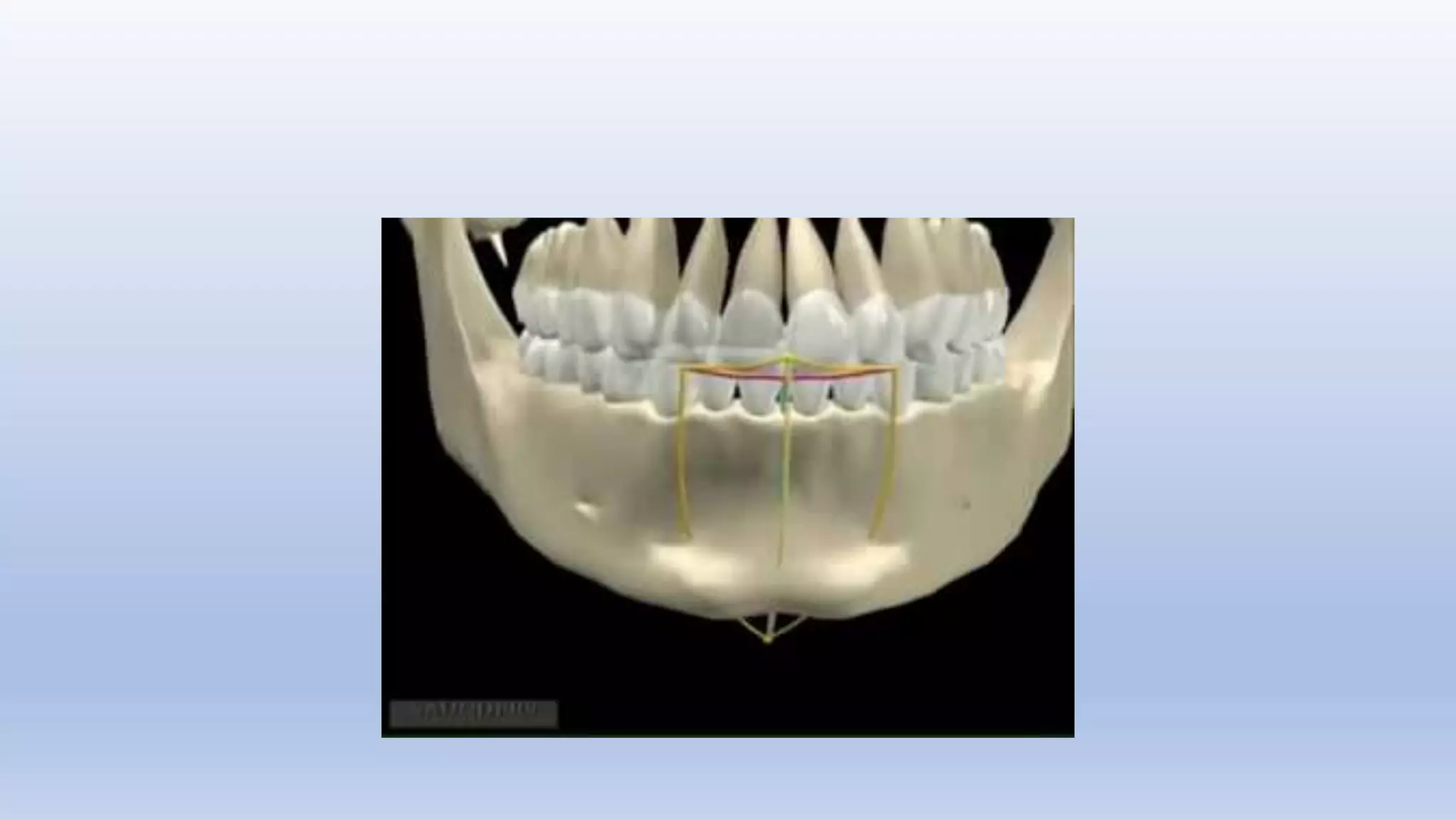 Temporomandibular Joint (Anatomy) | PPTX