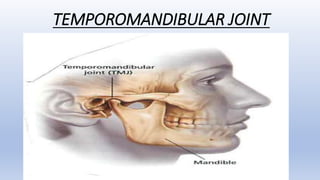 Temporomandibular Joint (Anatomy) | PPTX