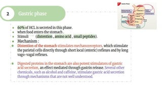 mechanism of HCl production in stomach.pptx