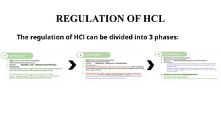 mechanism of HCl production in stomach.pptx