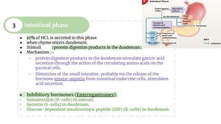 mechanism of HCl production in stomach.pptx
