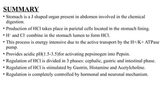 mechanism of HCl production in stomach.pptx