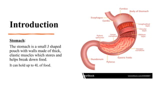 mechanism of HCl production in stomach.pptx