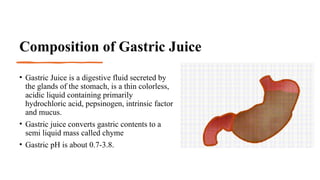 mechanism of HCl production in stomach.pptx