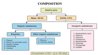 mechanism of HCl production in stomach.pptx
