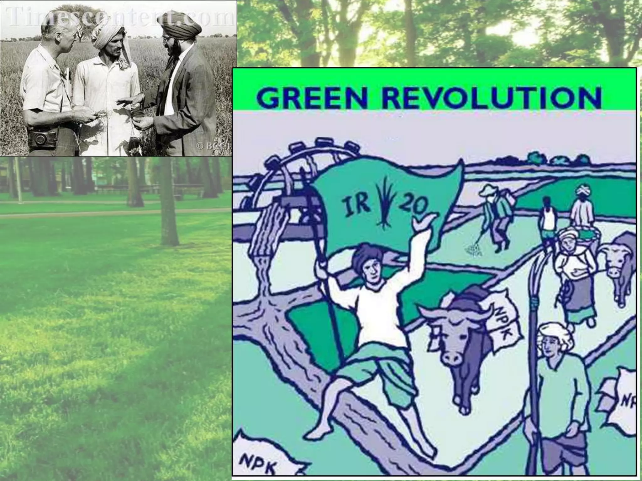 Methods of genetic purity testing | PPT