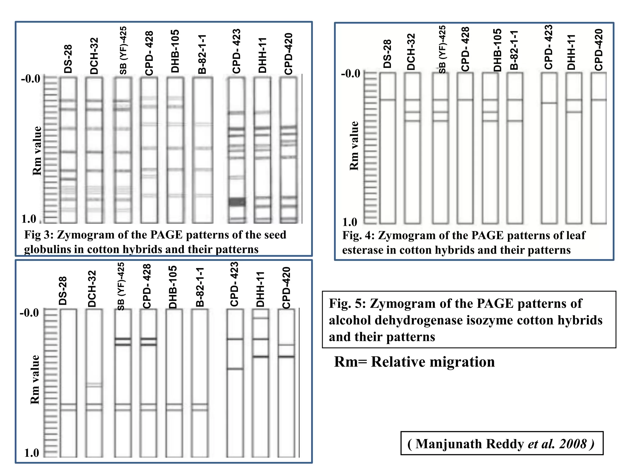 Methods of genetic purity testing | PPT