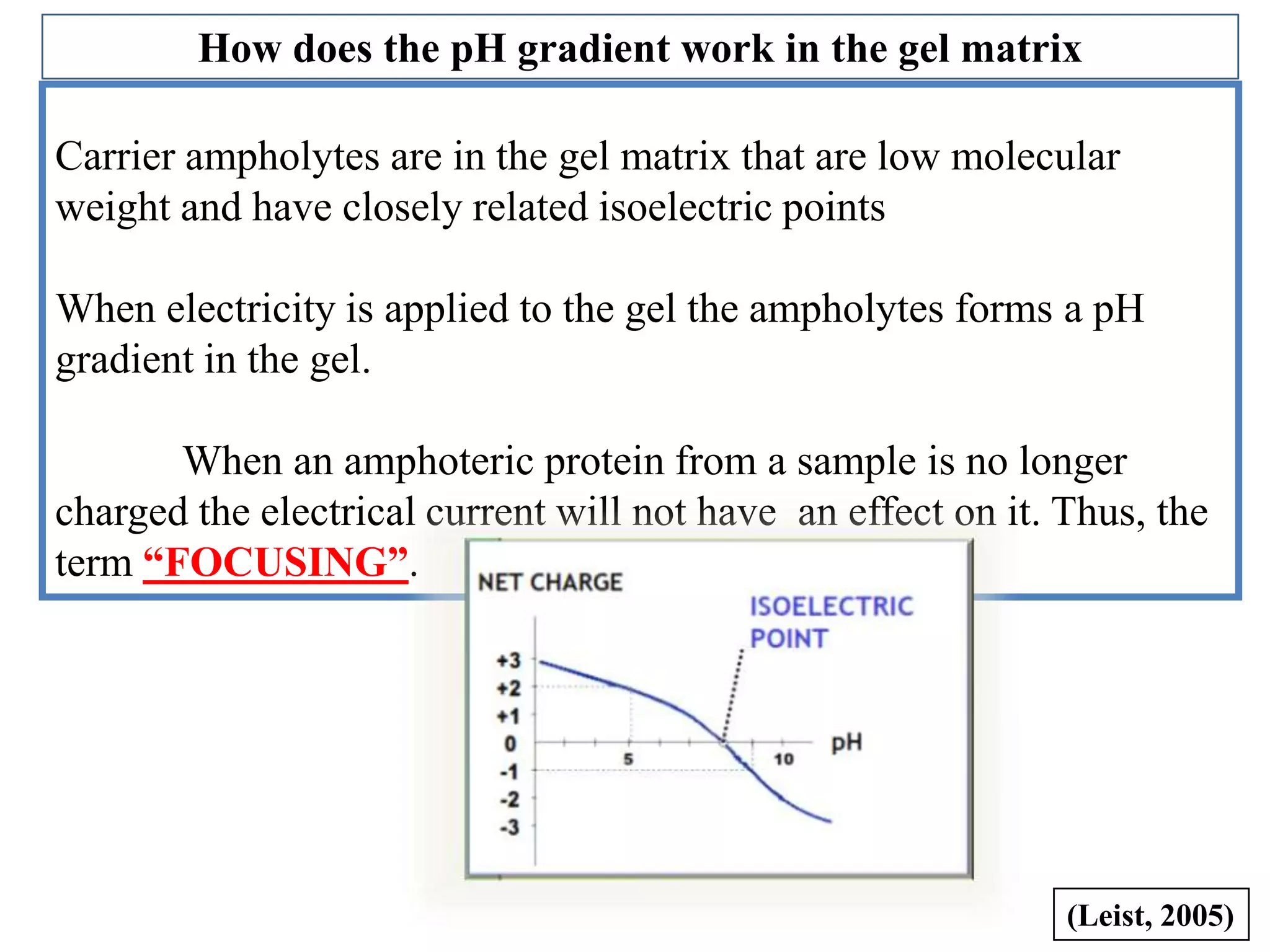 Methods of genetic purity testing | PPT