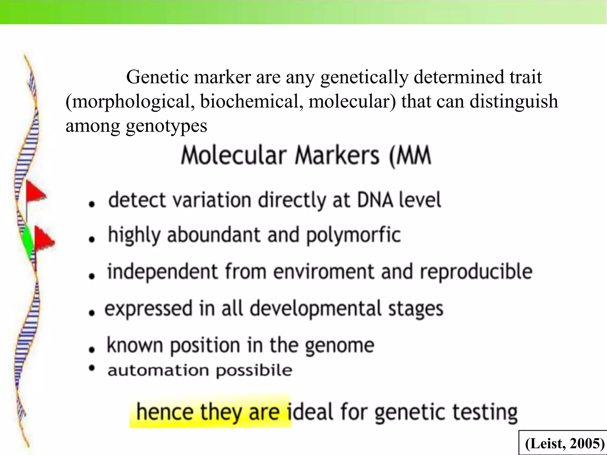 Methods of genetic purity testing | PPT