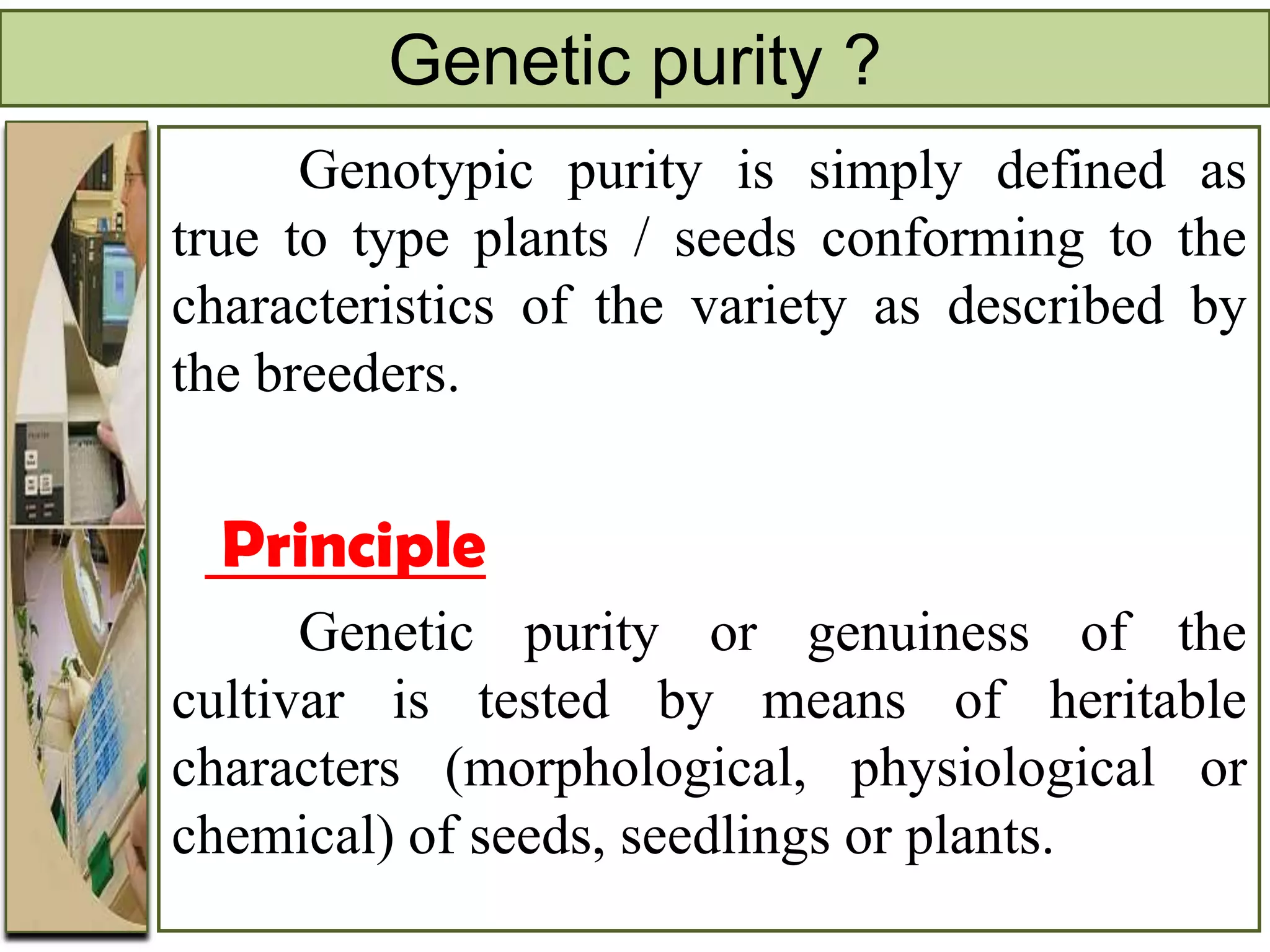 Methods of genetic purity testing | PPT