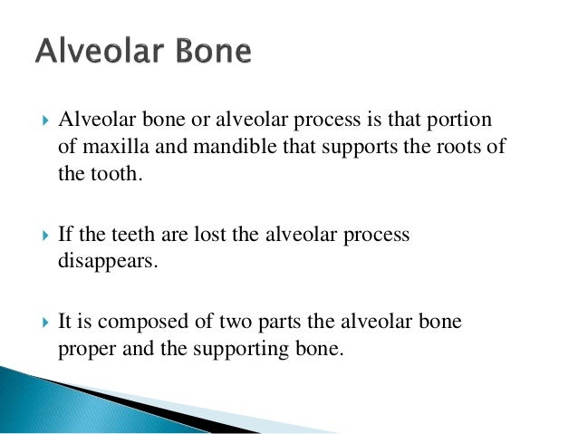 Alveolar Bone
