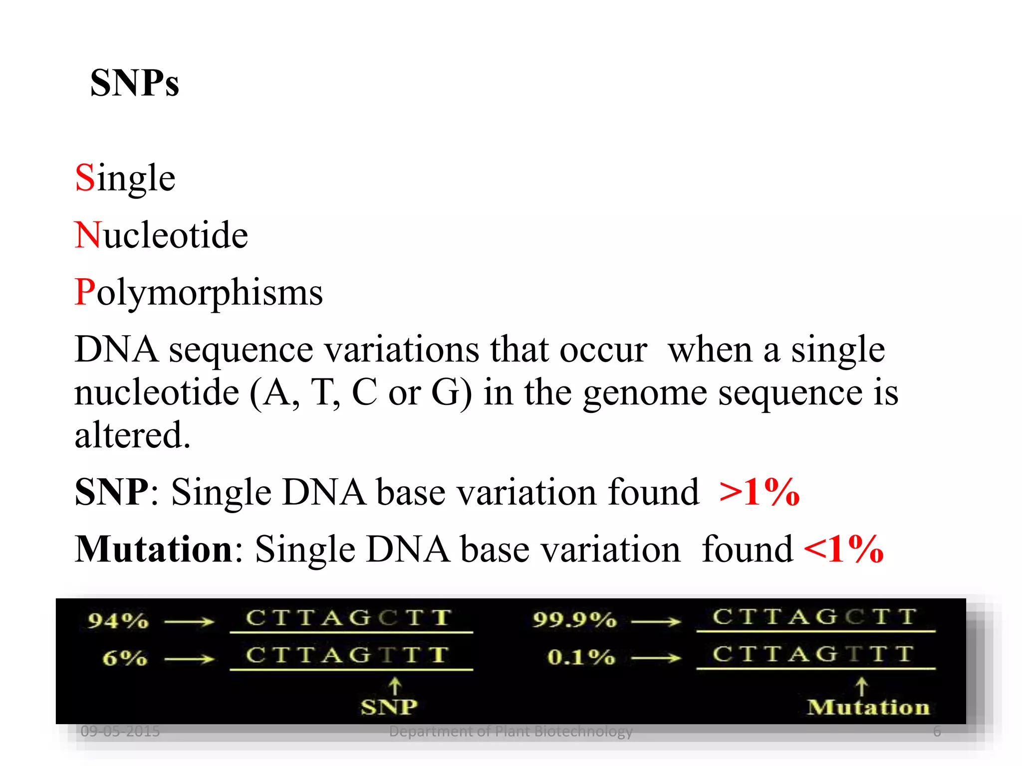 SNp mining in crops | PPTX