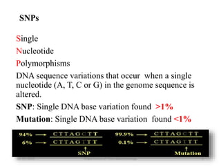 SNp mining in crops | PPTX