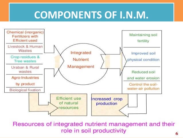 integrated nutrient management on productivity and soil fertility in