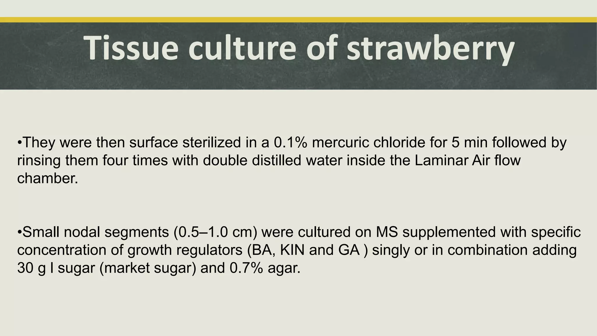 Tissue culture of strawberry | PPTX