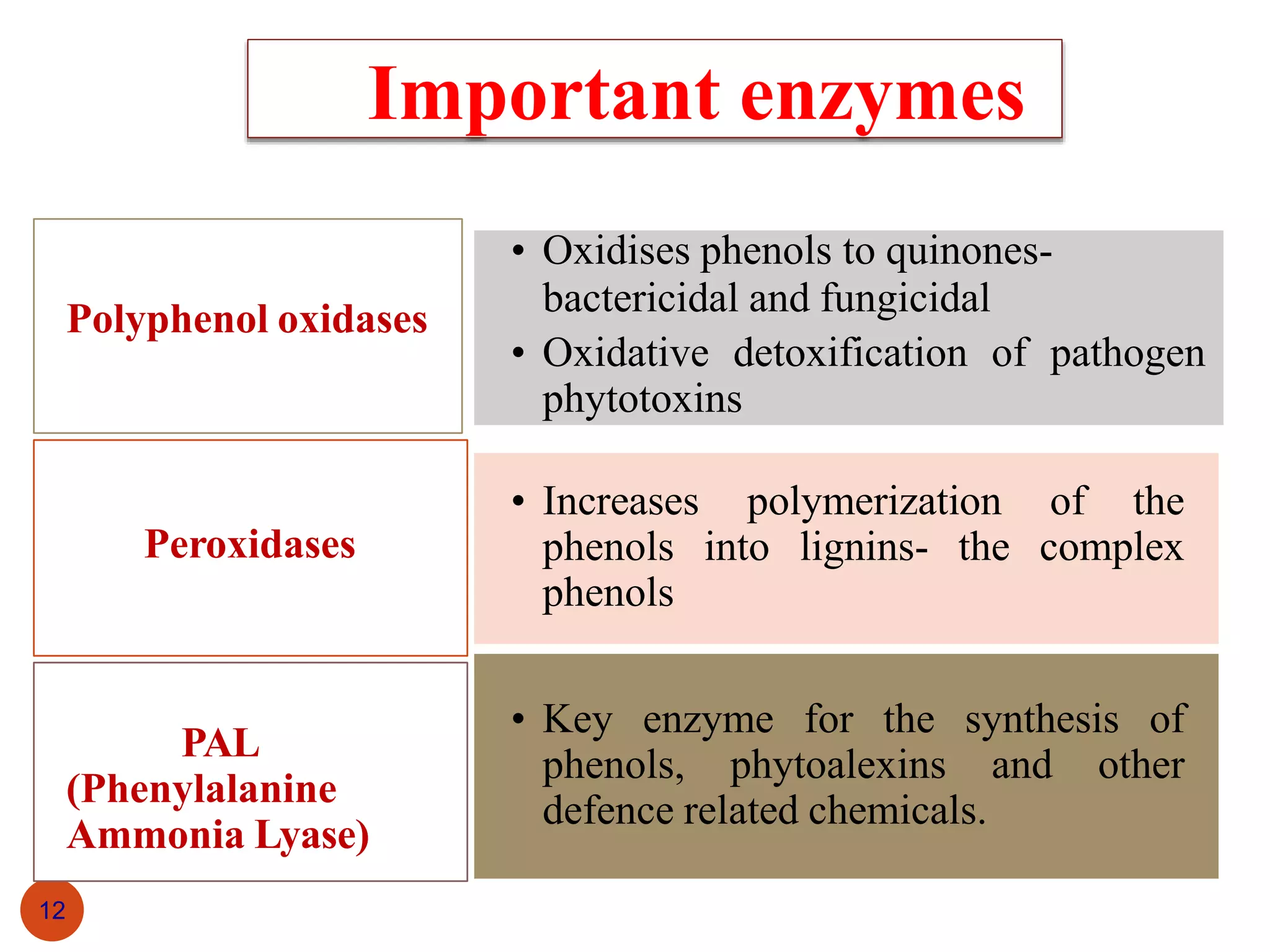 Role of phenols in plant defence | PPTX