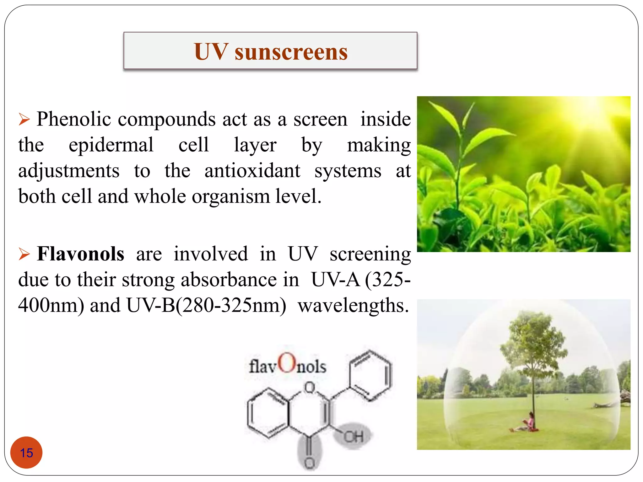 Role of phenols in plant defence | PPTX