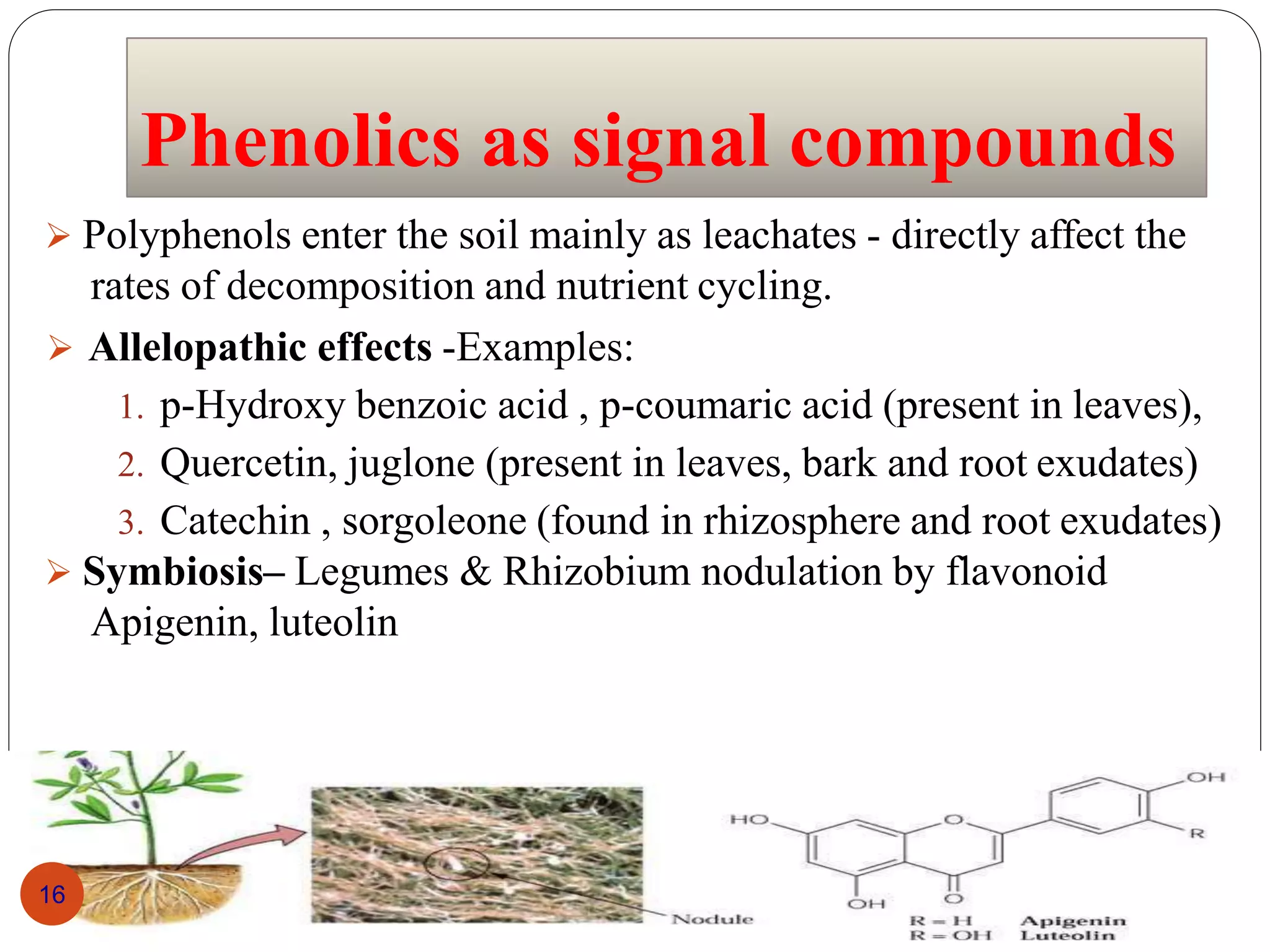 Role of phenols in plant defence | PPTX