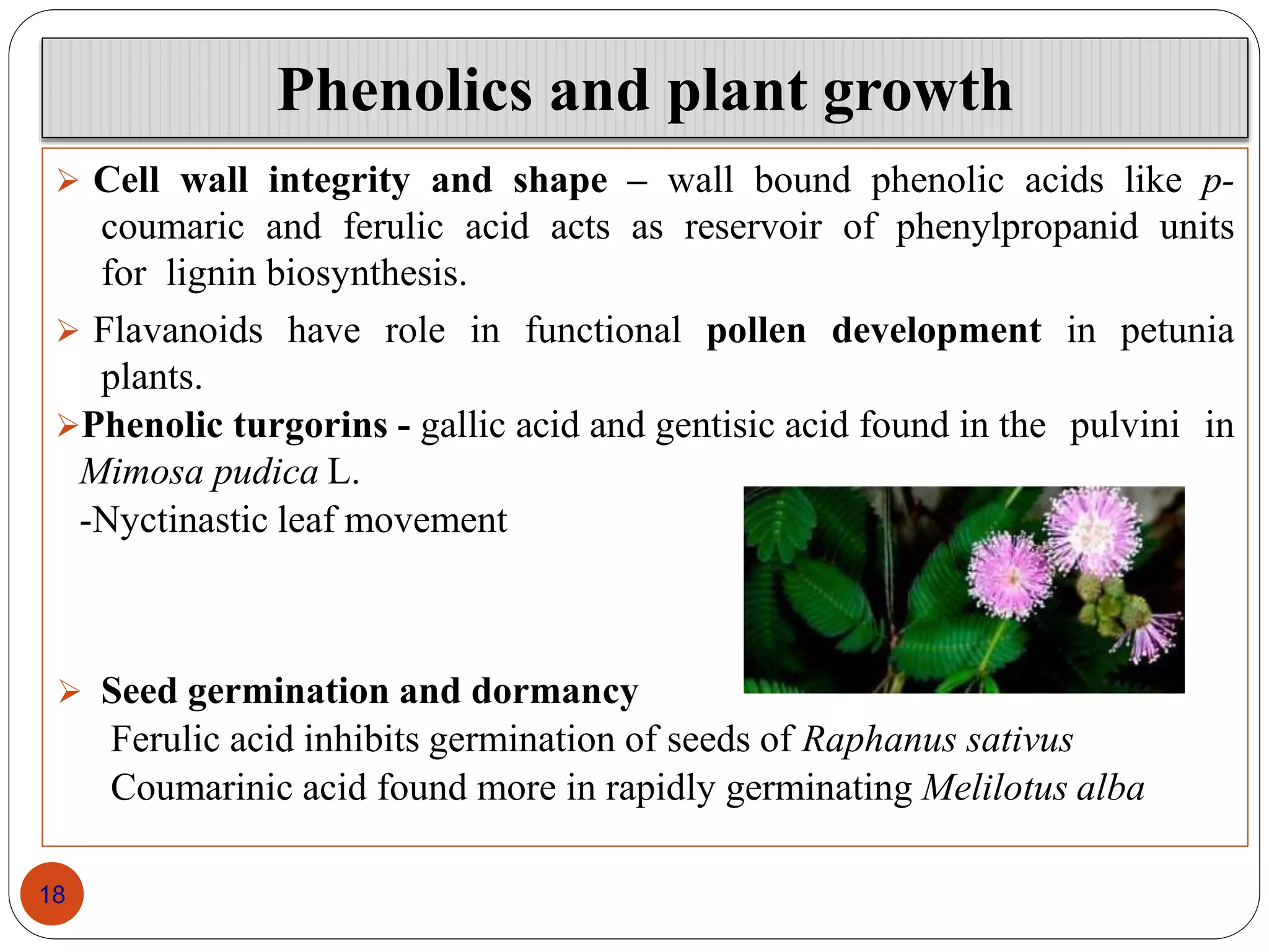 Role of phenols in plant defence | PPTX