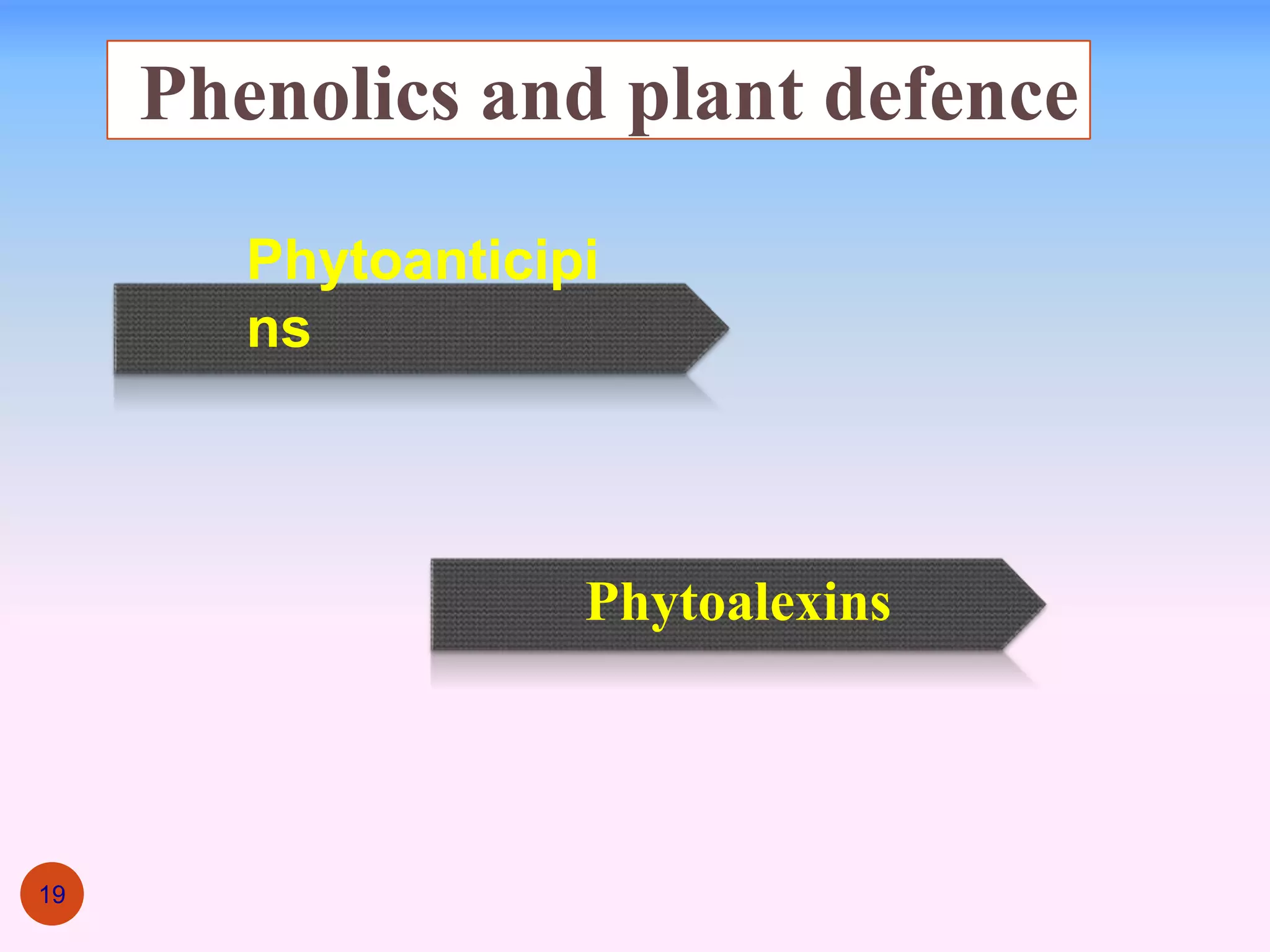 Role of phenols in plant defence | PPTX
