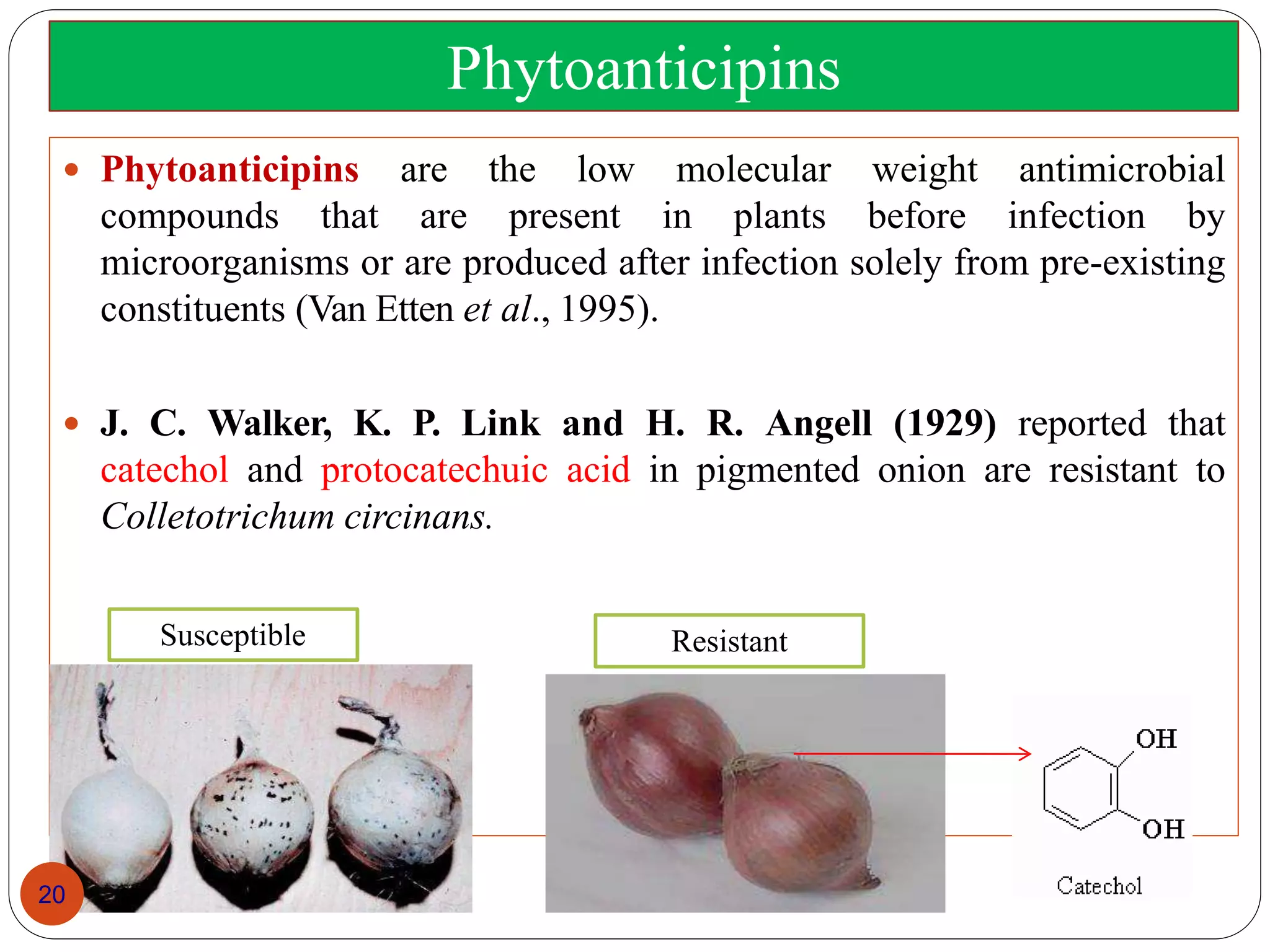 Role of phenols in plant defence | PPTX