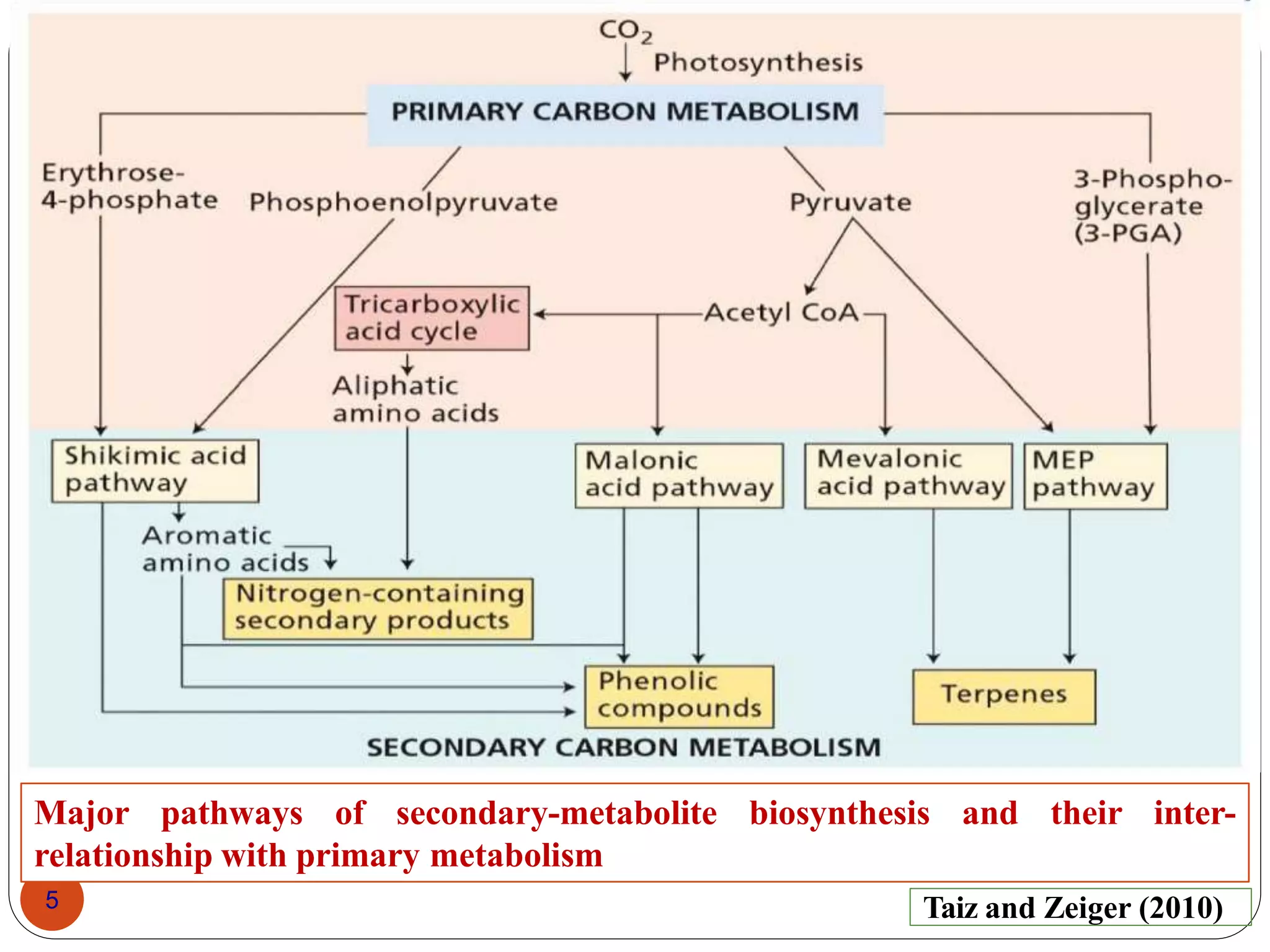 Role of phenols in plant defence | PPTX