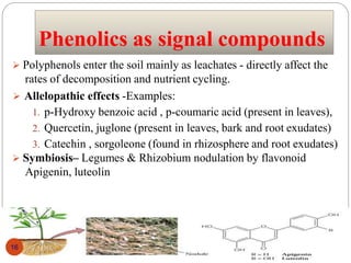 Role of phenols in plant defence | PPTX