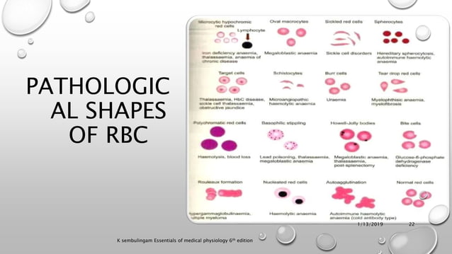 Blood and Current Concepts in Coagulation with Applied Aspect | PPTX