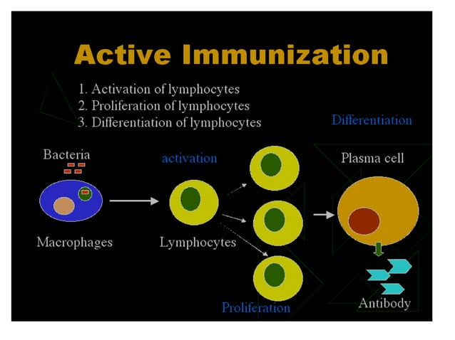 immunostimulants | PPTX