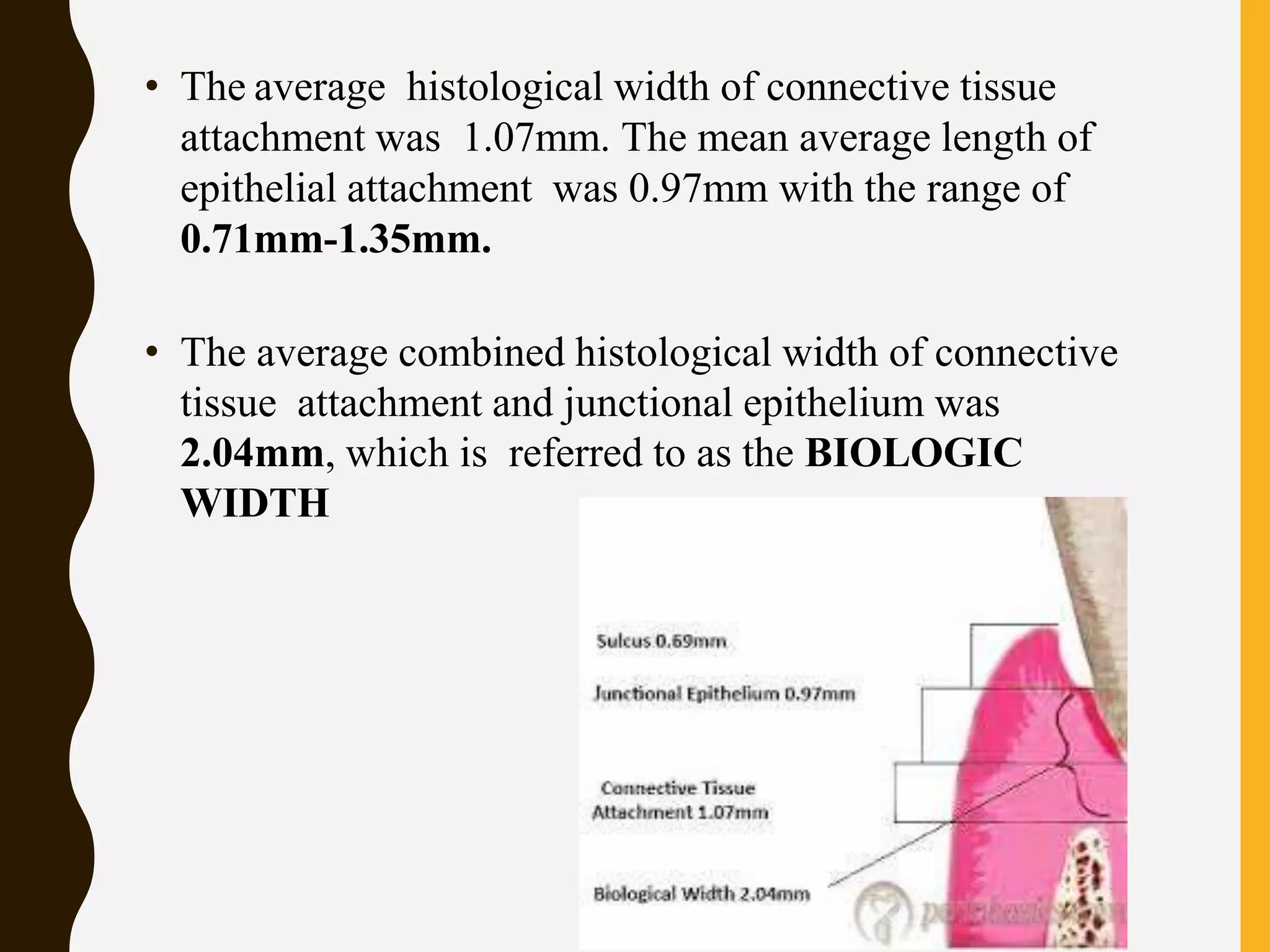 JUNCTIONAL EPITHELIUM | PPTX