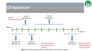 Circular Dichroism Spectroscopy | PPTX