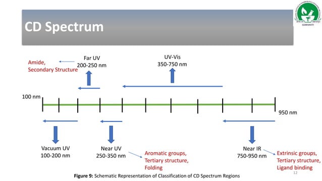 Circular Dichroism Spectroscopy | PPTX