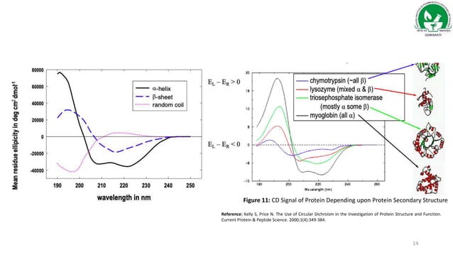 Circular Dichroism Spectroscopy | PPTX