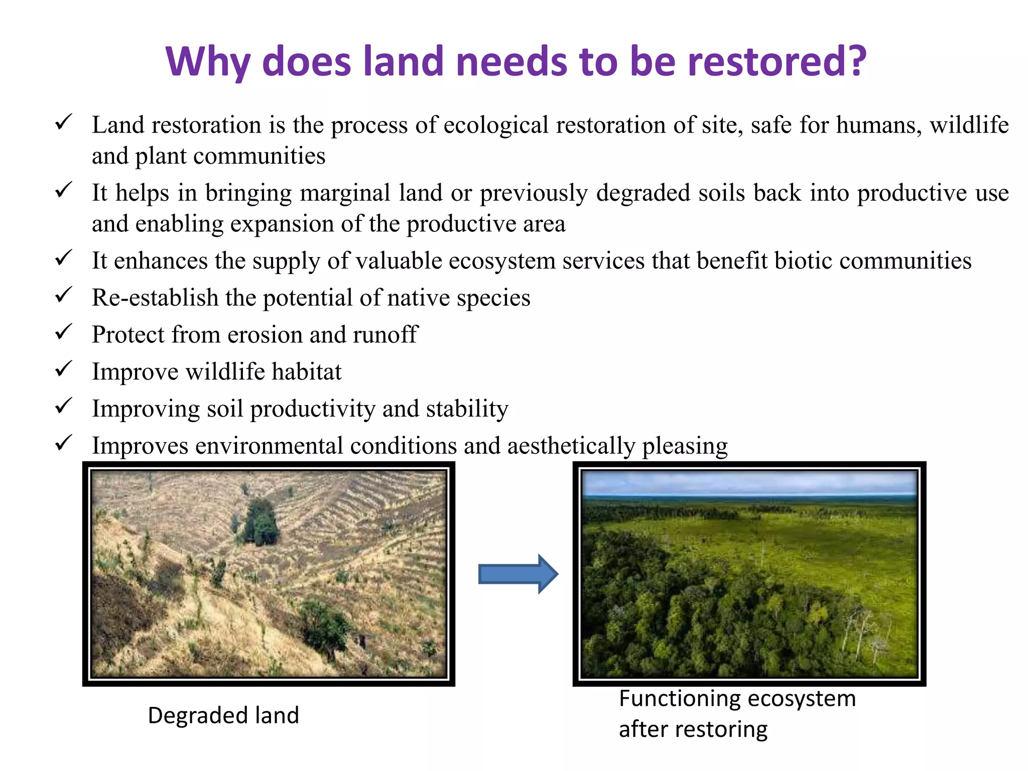 Role of forestry in restoration of degraded lands | PPTX
