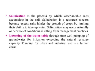 Role of forestry in restoration of degraded lands | PPTX