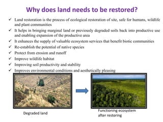 Role of forestry in restoration of degraded lands | PPTX