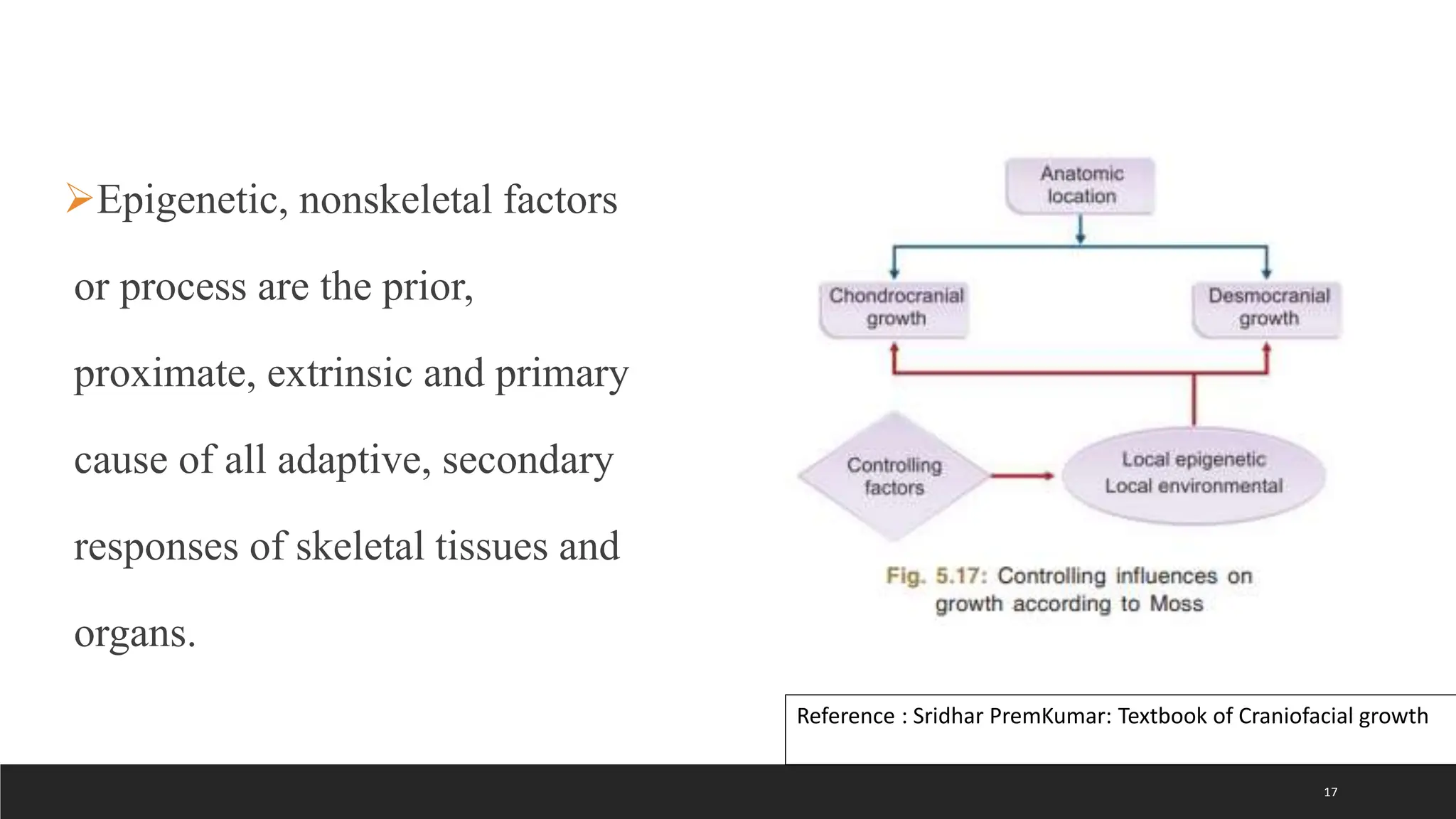 theories of growth and development- orthodontics | PPTX