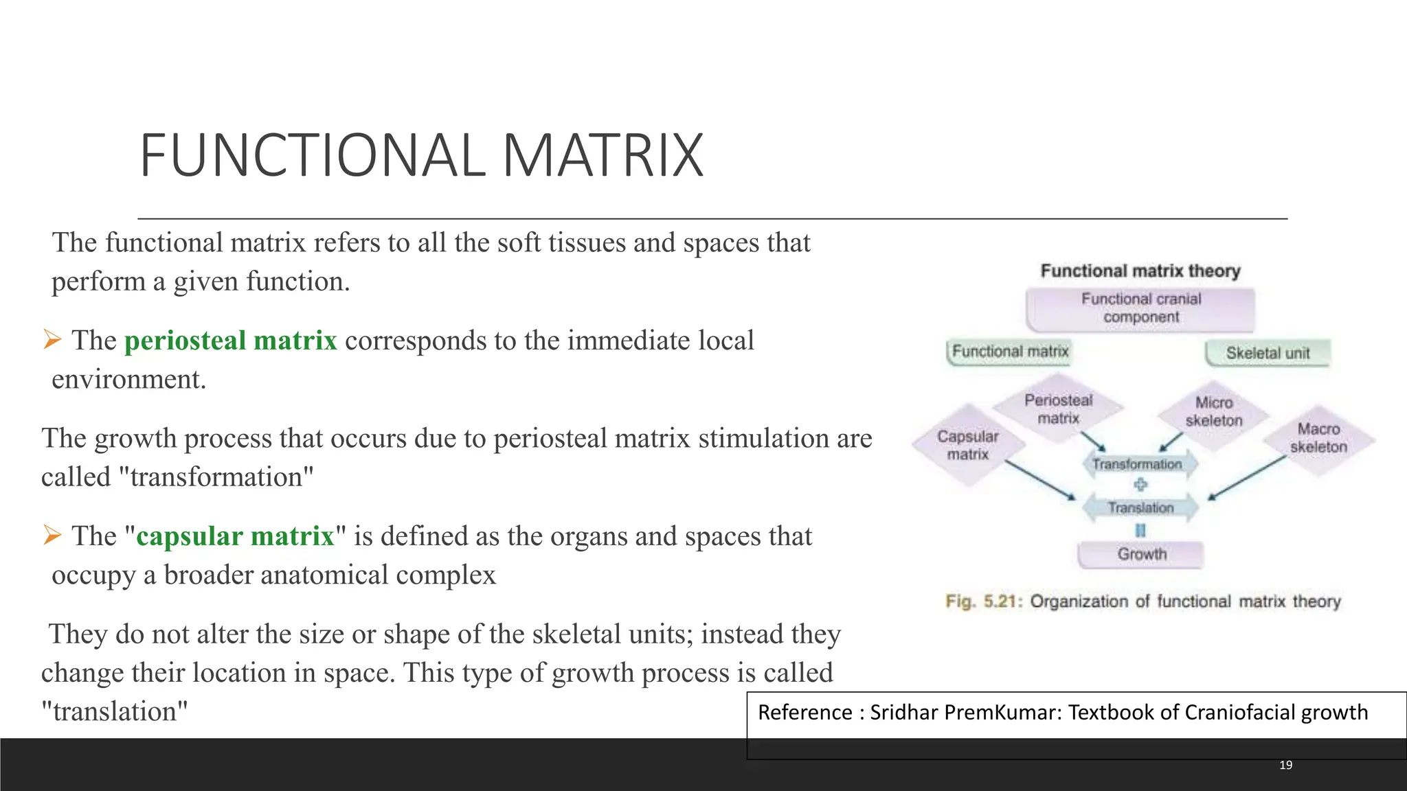 theories of growth and development- orthodontics | PPTX