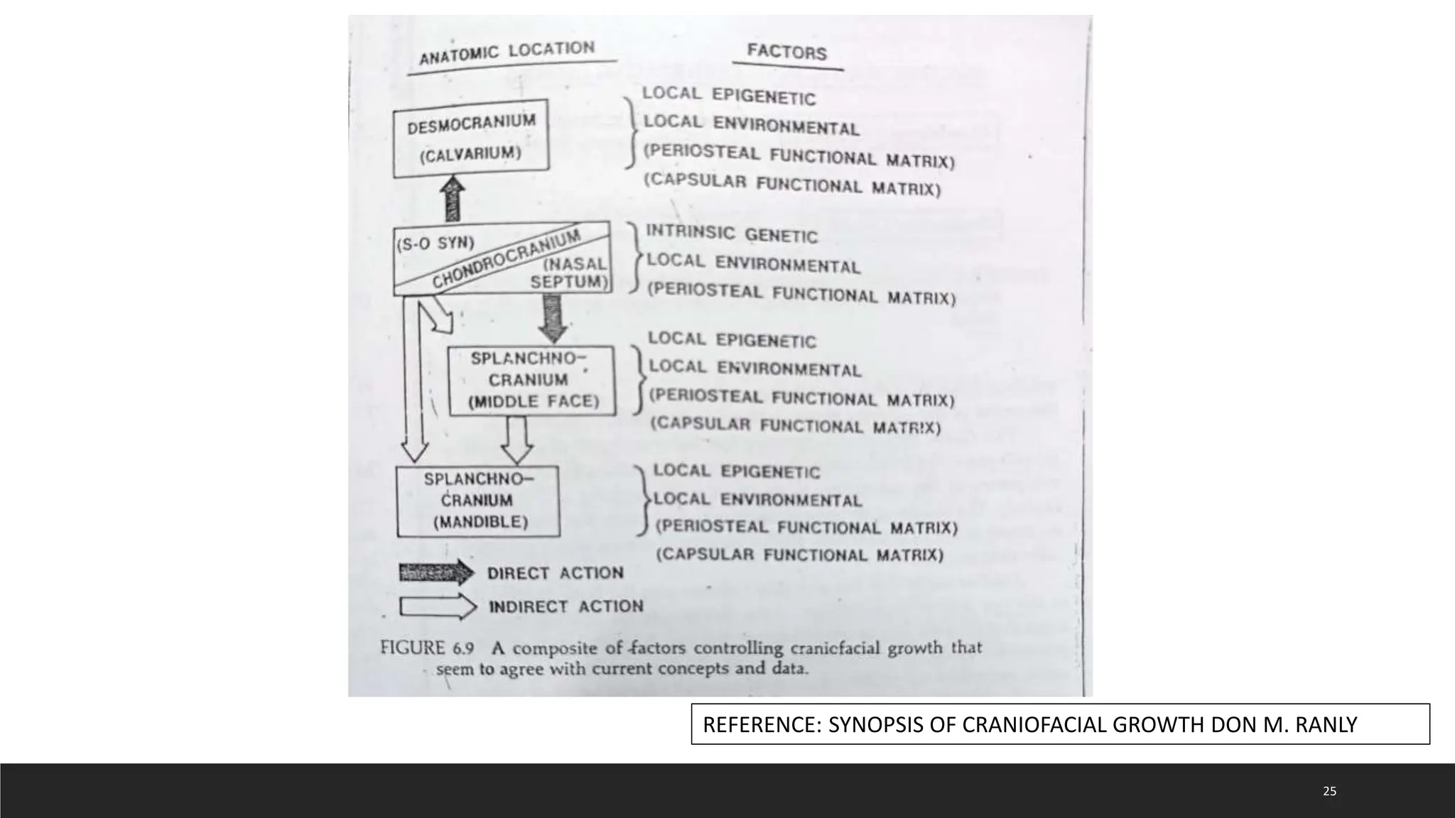 theories of growth and development- orthodontics | PPTX