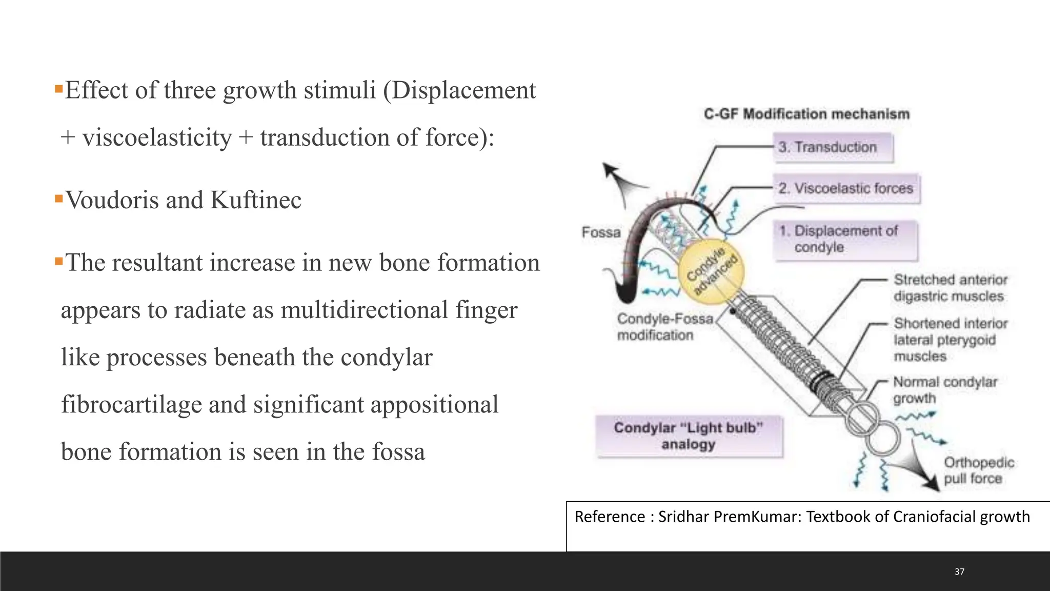 theories of growth and development- orthodontics | PPTX