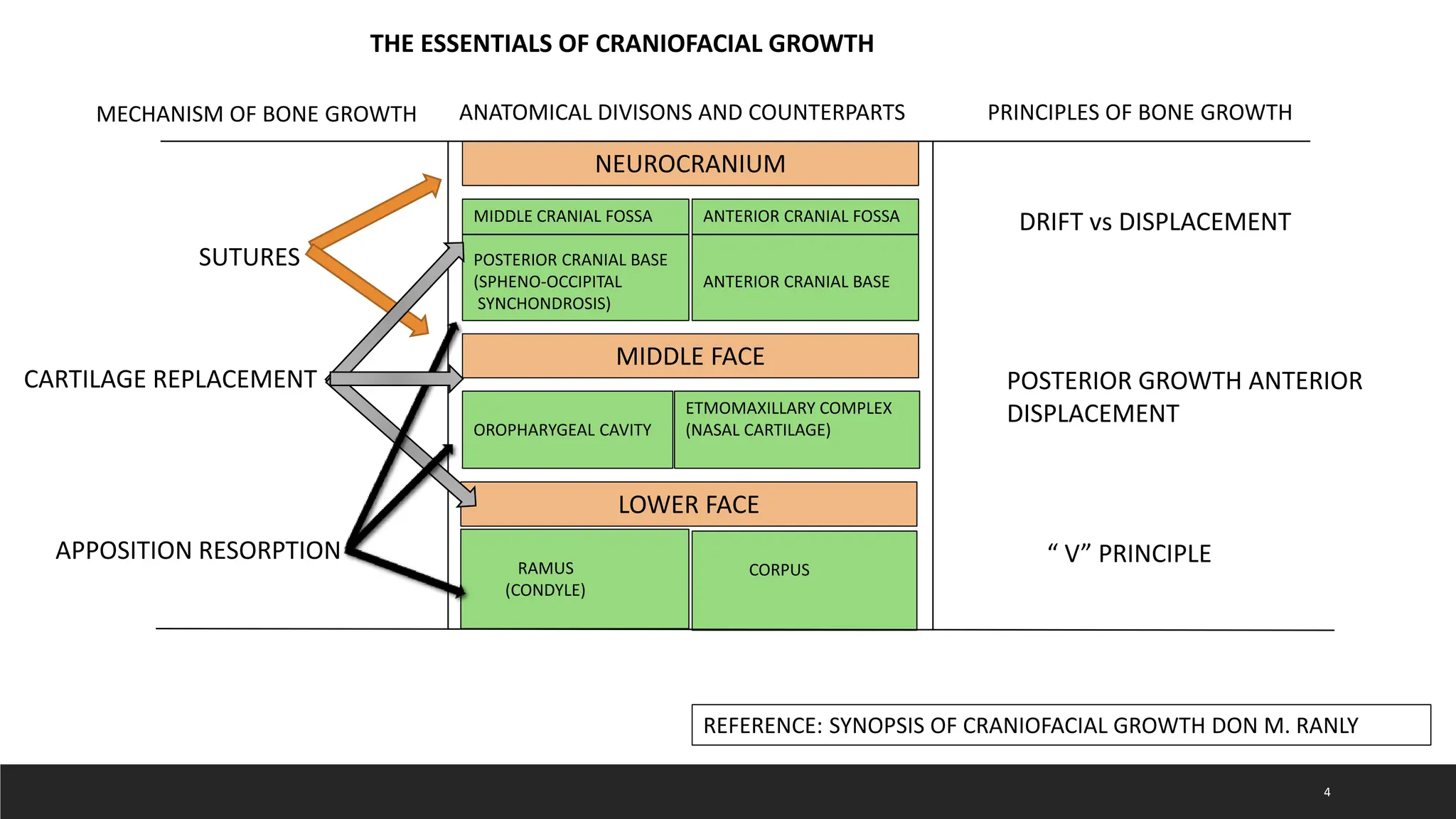 theories of growth and development- orthodontics | PPTX