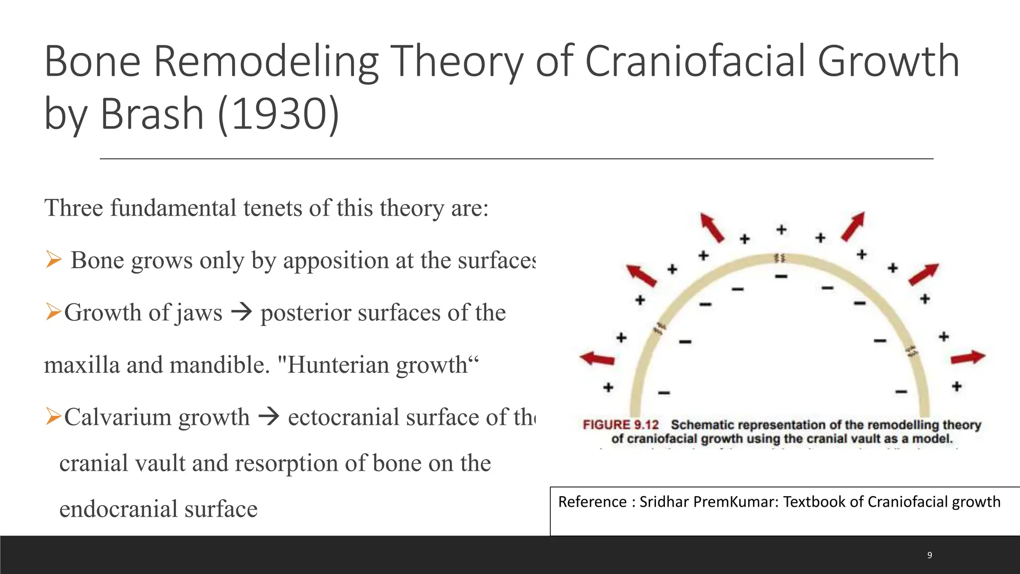 theories of growth and development- orthodontics | PPTX