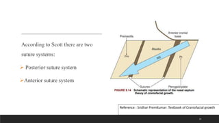 theories of growth and development- orthodontics | PPTX