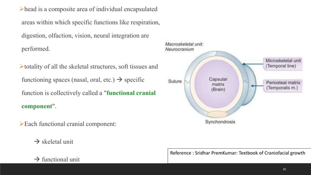 theories of growth and development- orthodontics | PPTX