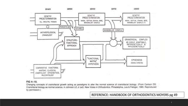 theories of growth and development- orthodontics | PPTX
