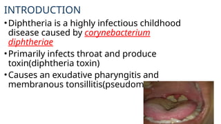 Diphtheria and it’s etiology microbiology MBBS | PPTX | Infectious ...