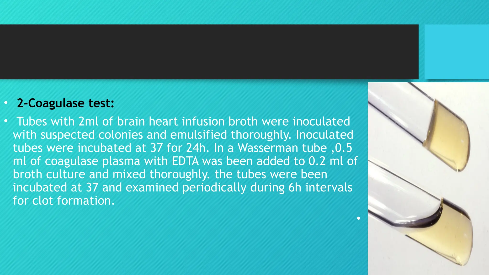 Staphylococcus Aureus In Milk And Milk Products Ppt