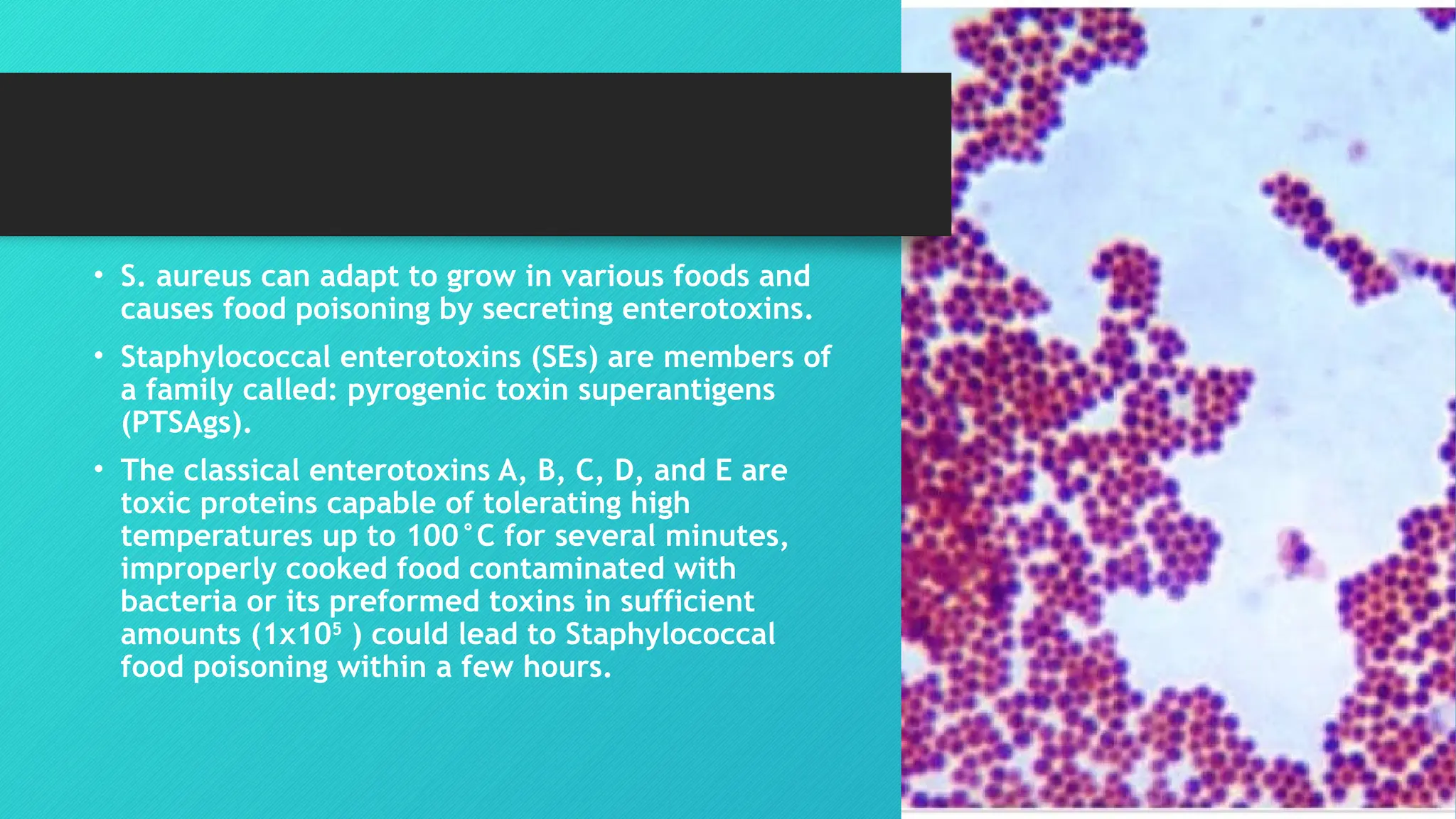 Staphylococcus Aureus In Milk And Milk Products Ppt