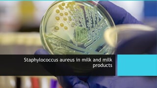 Staphylococcus aureus in milk and milk products | PPT